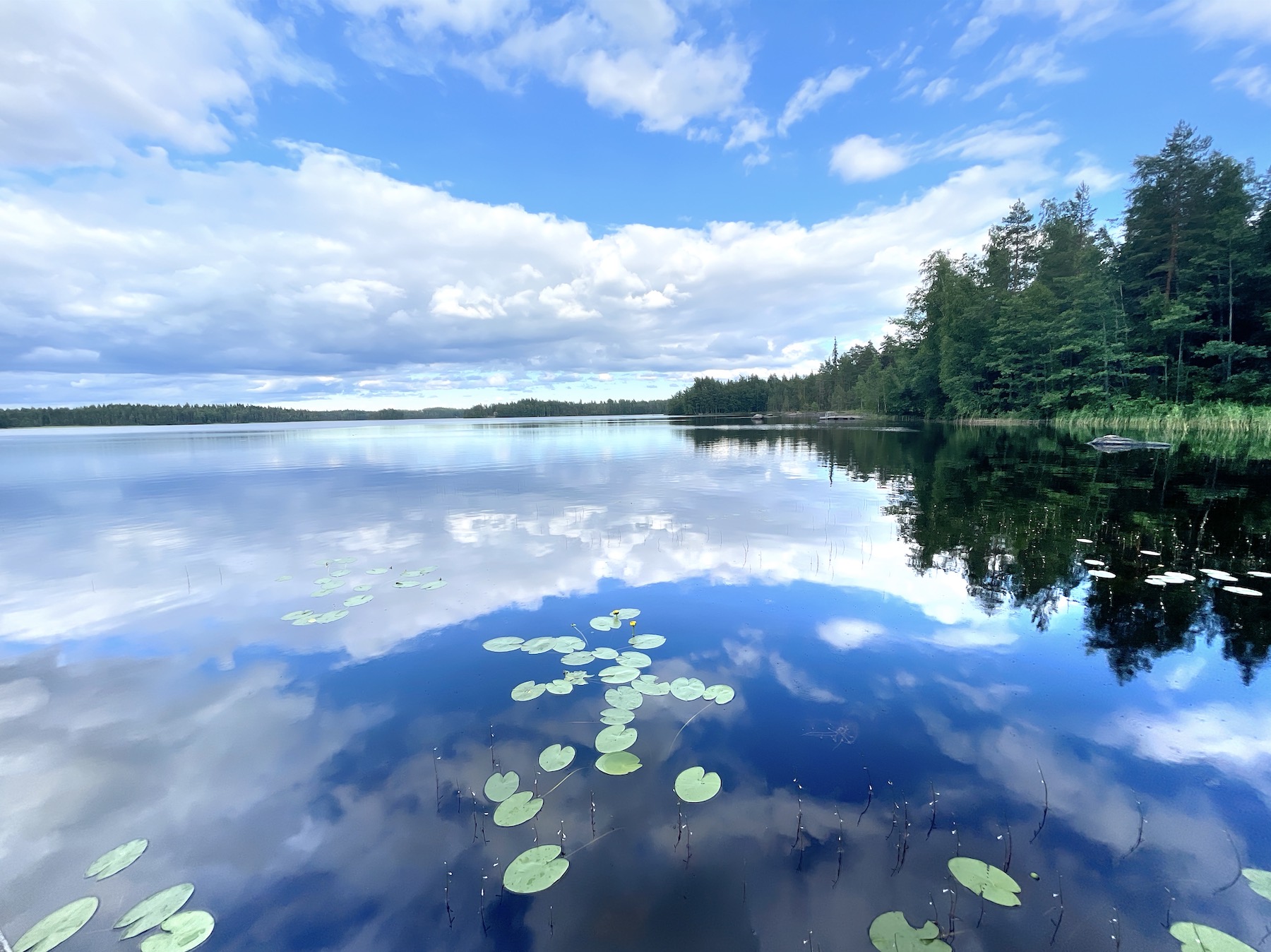 Carbon neutral exhibition stands - Messeforum